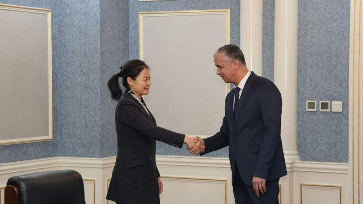 上海合作组织副秘书长会见塔吉克斯坦第一副外长 | 上海合作组织